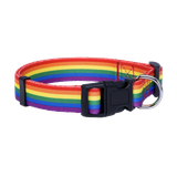 Native Pup Rainbow Flag Dog Collar Gay Pride Stuff for Parade, LGBTQ ...
