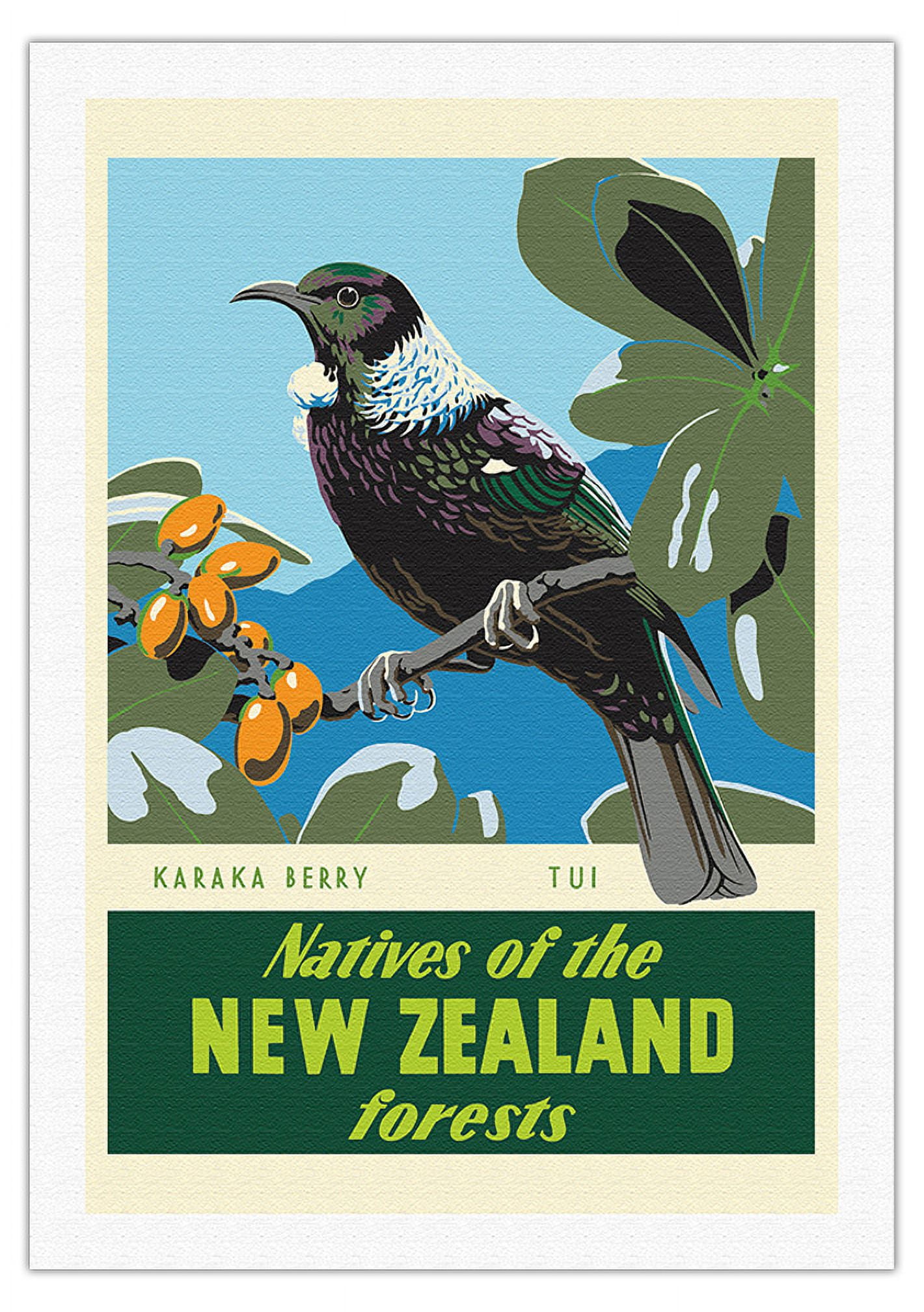 Natives of the New Zealand Forests - Karaka Berry - Tui Bird - Vintage Travel Poster by Marcus ...