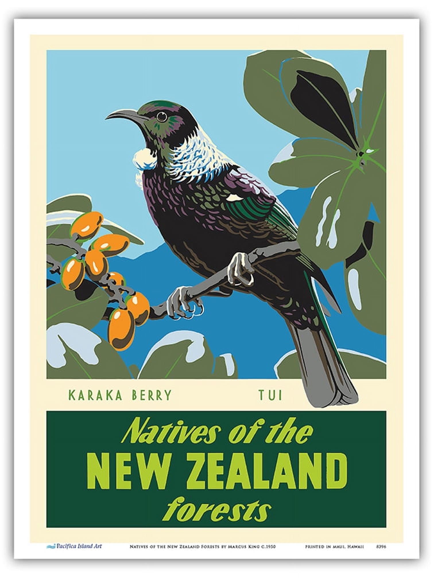 Natives of the New Zealand Forests - Karaka Berry - Tui Bird - Vintage ...