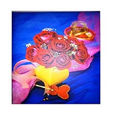 Natraj New Slidein Mini Photo Album with 06mm Thick Extra Clear PVC ...