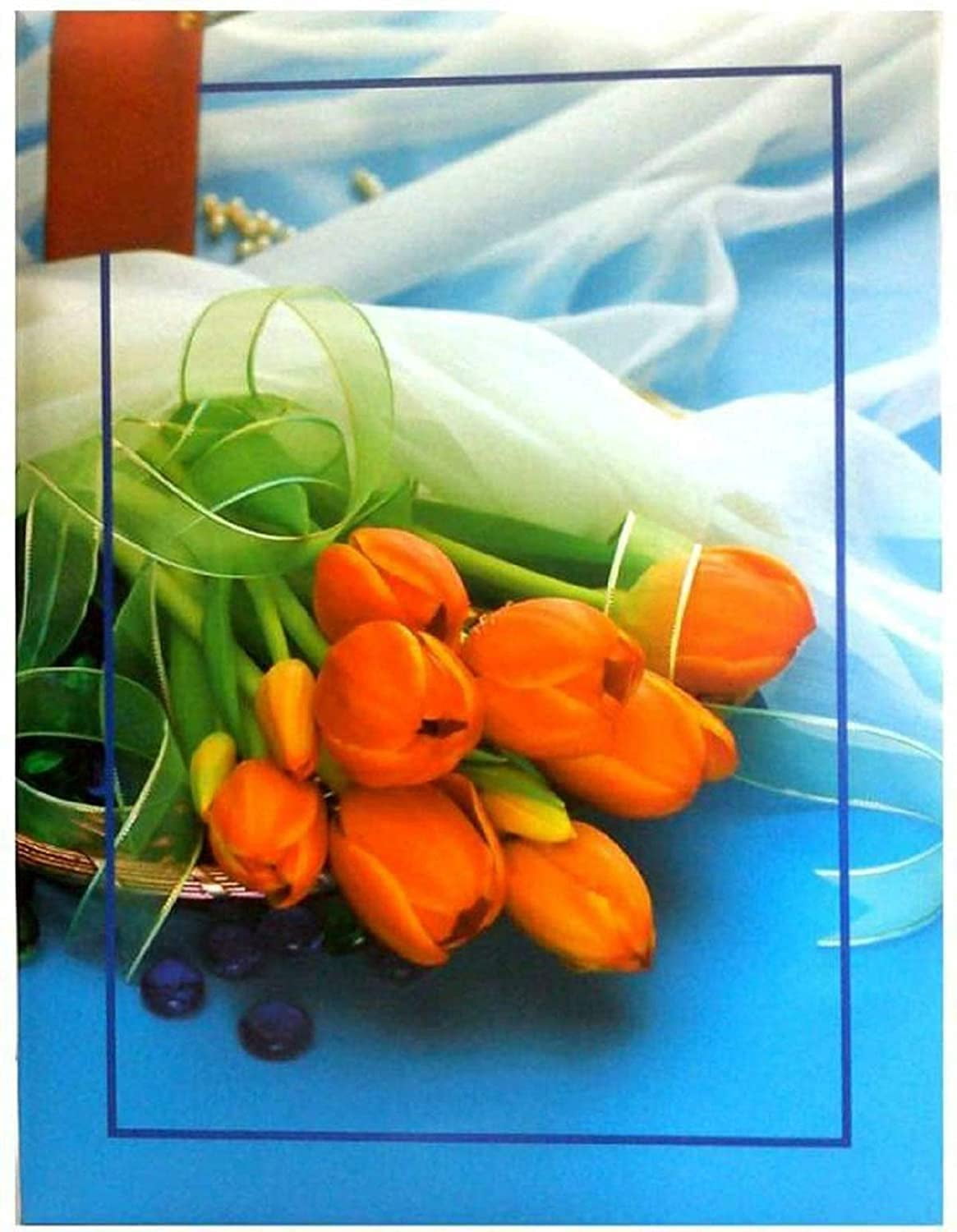 Natraj photo album size 4x6 inch 100 pocket multy color new slide in pp ...