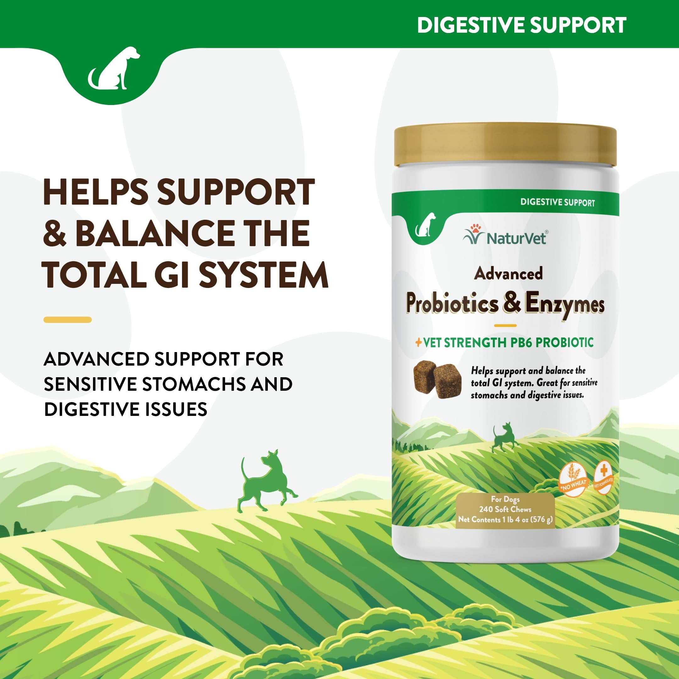 NaturVet - Advanced FEV6 Probiotics & Enzymes - Plus Vet Strength PB6 ...