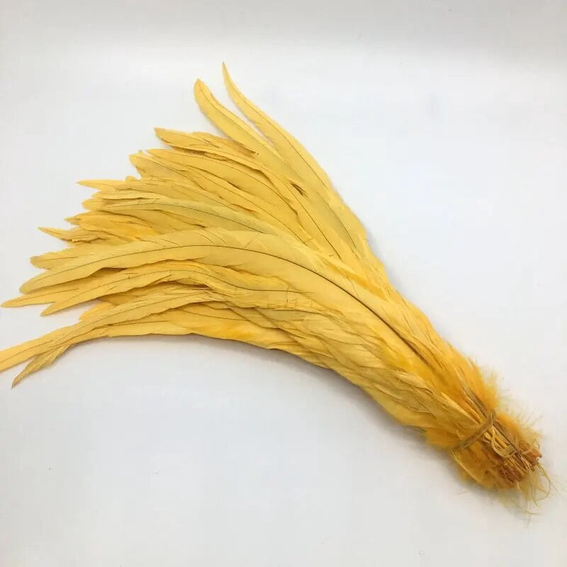 Natural 50pcs Rooster Tail Feather Plumes 25-45CM 10-18inch Beige DIY ...