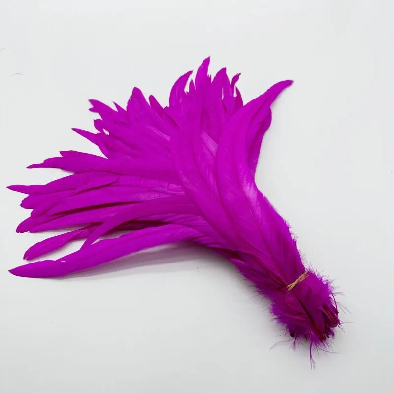 Natural 50pcs Rooster Tail Feather Plumes 25-45CM 10-18inch Beige DIY ...