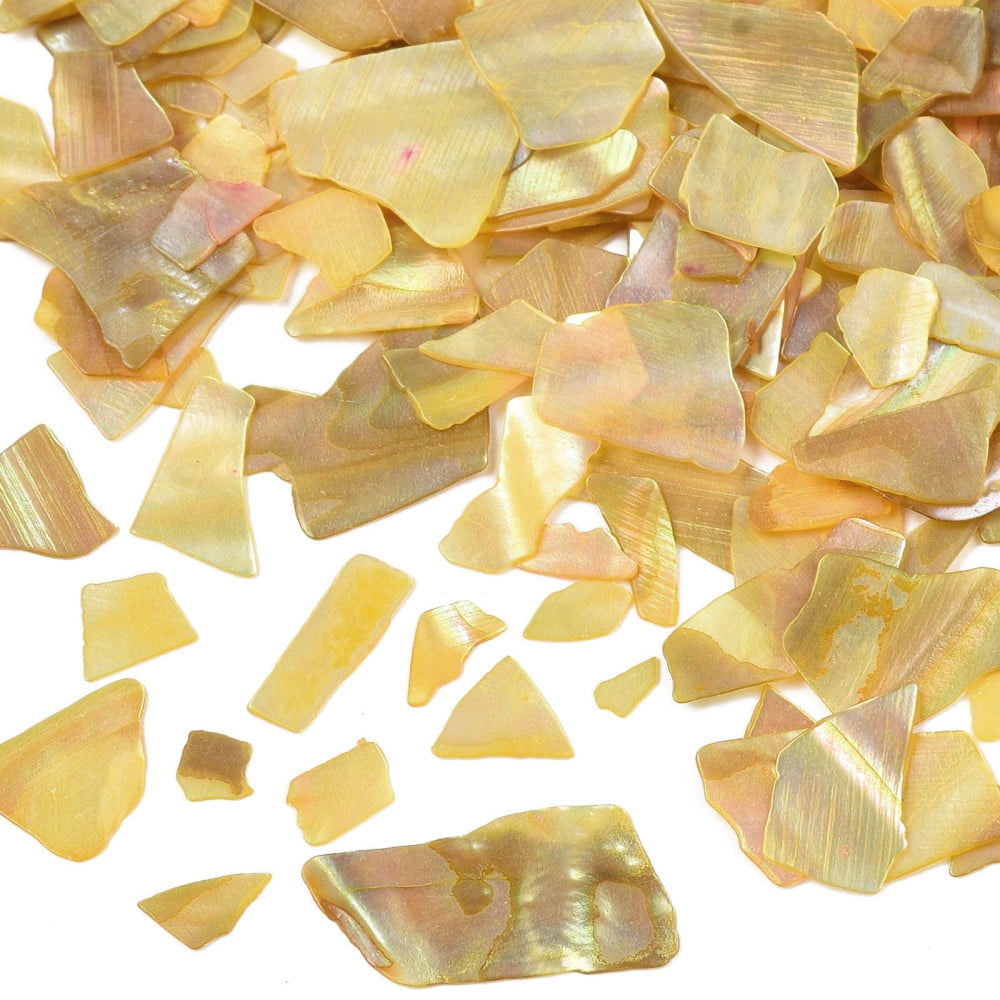 Natural Abalone/Paua Shell Mica Fragment Nail Art Decorations Shell ...