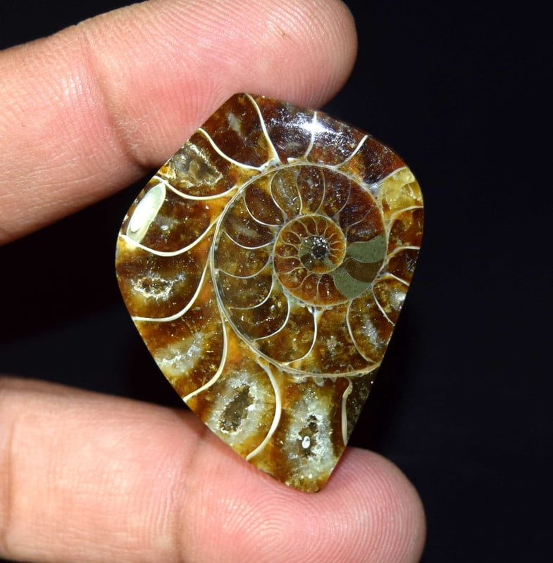 Natural Ammonite Fossil Cabochon Loose Gemstone 78.40 Cts - Walmart.com
