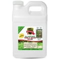 Natural Armor Weed & Grass Killer All-Natural Concentrated Formula ...