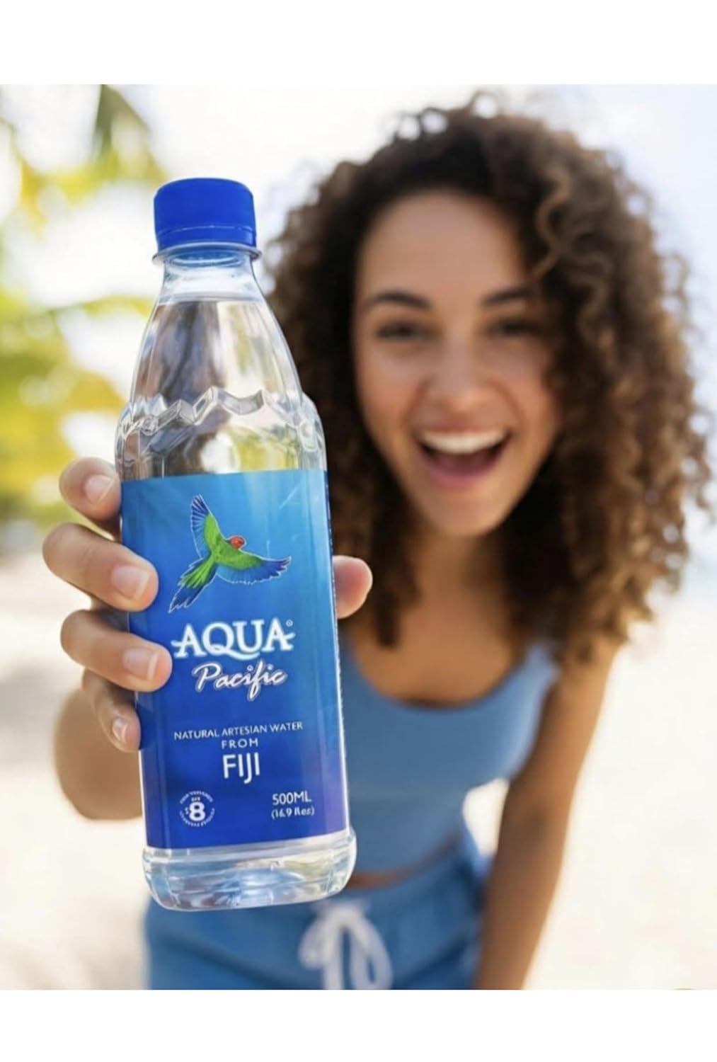 Natural Artesian Bottled Water 500mL / 16.09 Fl Oz (Pack of 24) 100% ...