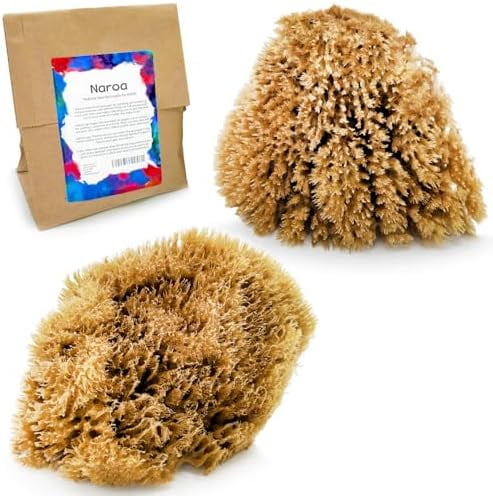 Natural Artist Sea Sponges for Painting 2 Pack | Large Art Tools for ...