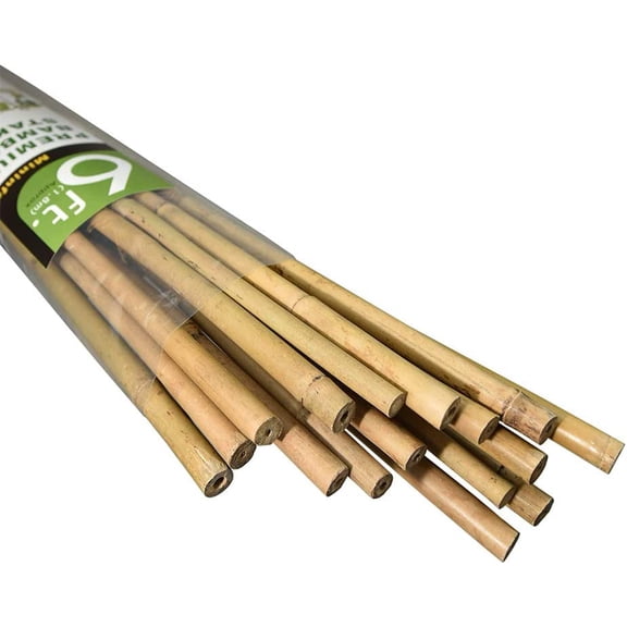 Tomato Stakes 6ft