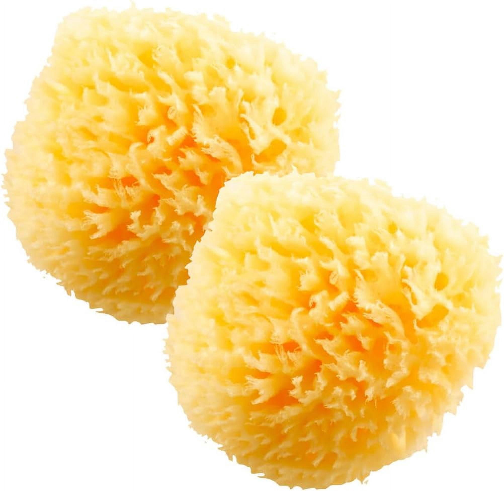 Natural Bath Sponge 4in Ultra Soft Premium Sea Wool Sponge Soft on ...