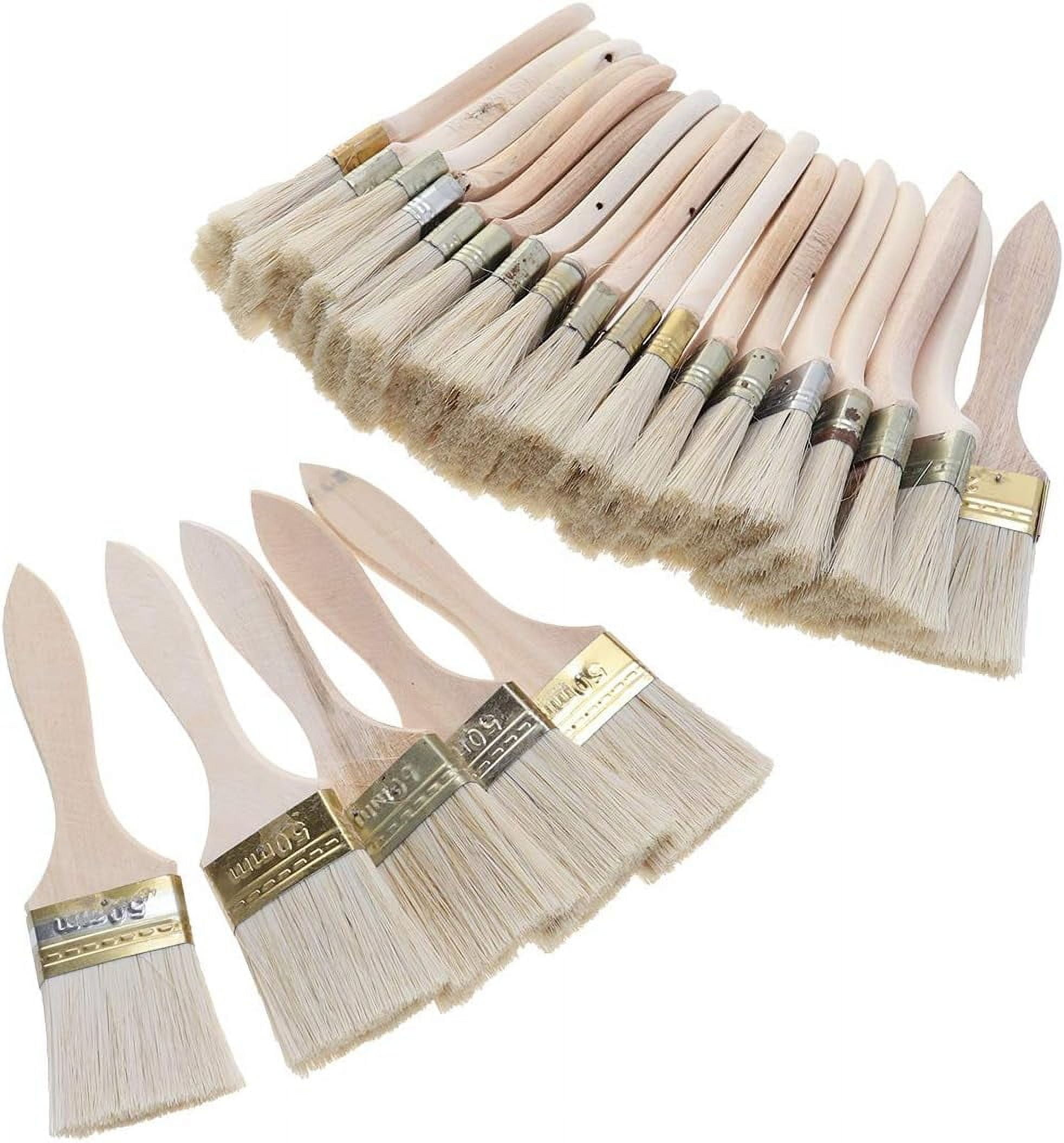 Natural Bristle Professional Paint Brush, Disposable Paint Brushes For ...