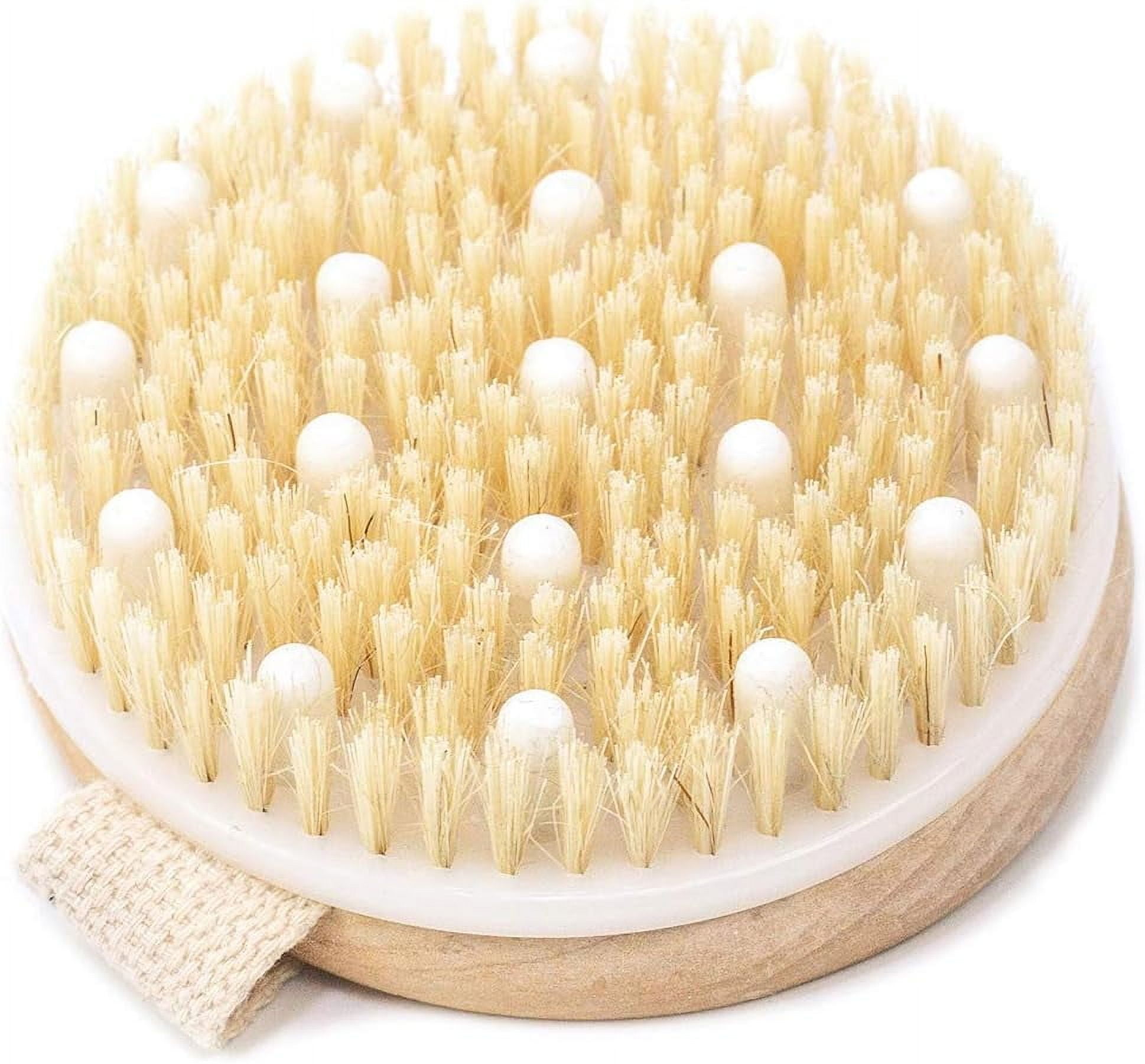 Natural Bristles Dry Brushing Tool, Radiant Skin And Cellulite ...