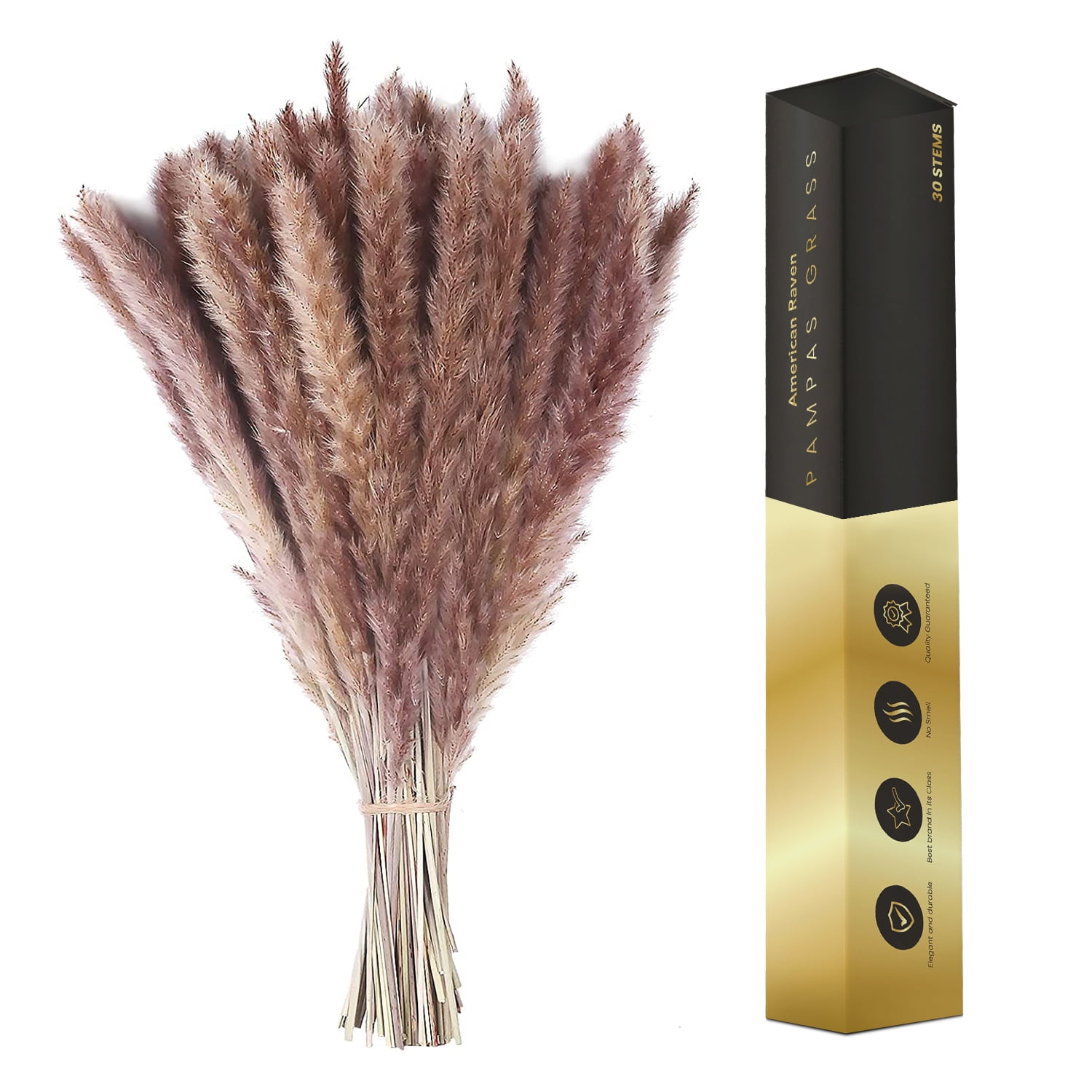 Natural Brown Dried Pampas Grass (30 Stems, 18") Pampas Flower Vase ...