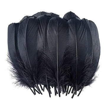 200pcs 10 Style Natural Feathers Assorted Mixed Feathers for Dream ...