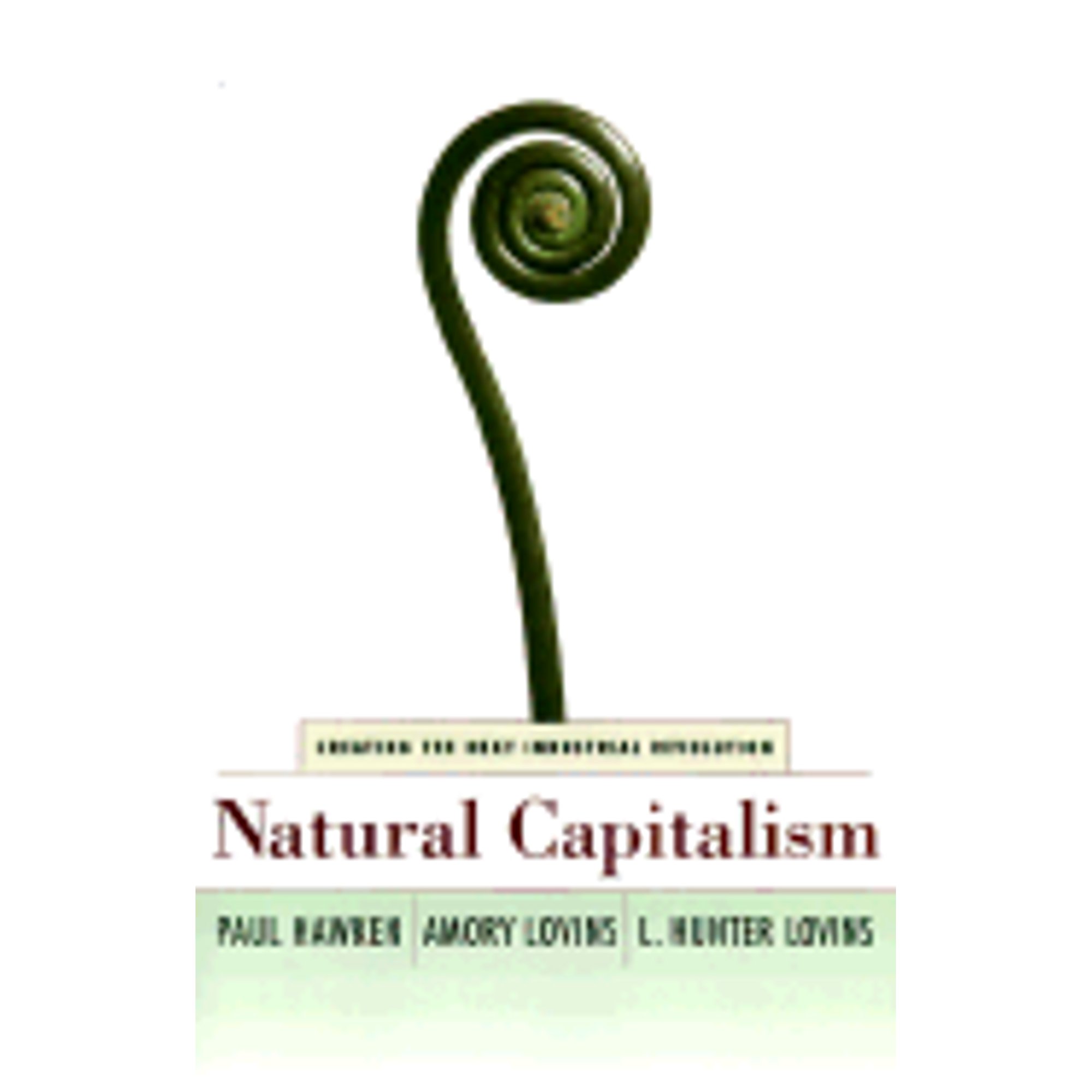 Natural Capitalism: Creating the Next Industrial Revolution (Hardcover ...