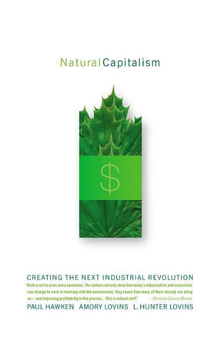 Natural Capitalism: Creating the Next Industrial Revolution, (Paperback ...