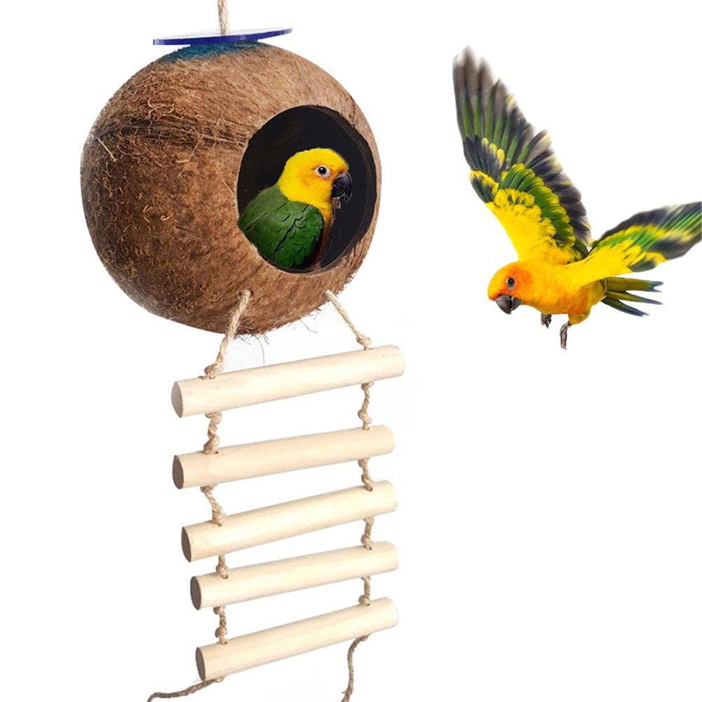Natural Coconut Hamster Hideaway with Ladder, Bird and Small Animal Toy ...