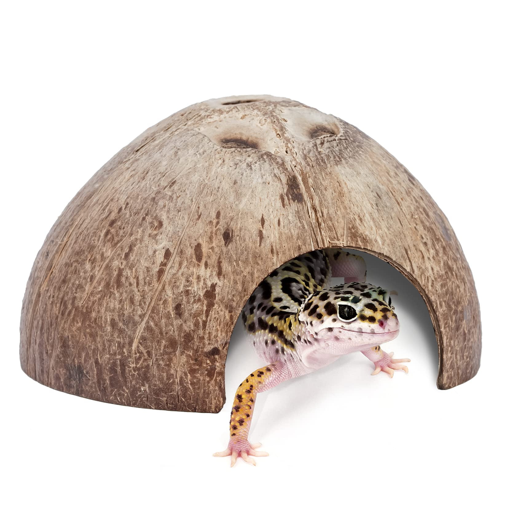 Natural Coconut Reptile Hideouts, Guinea Pig Hideout, Lizard, Spider ...