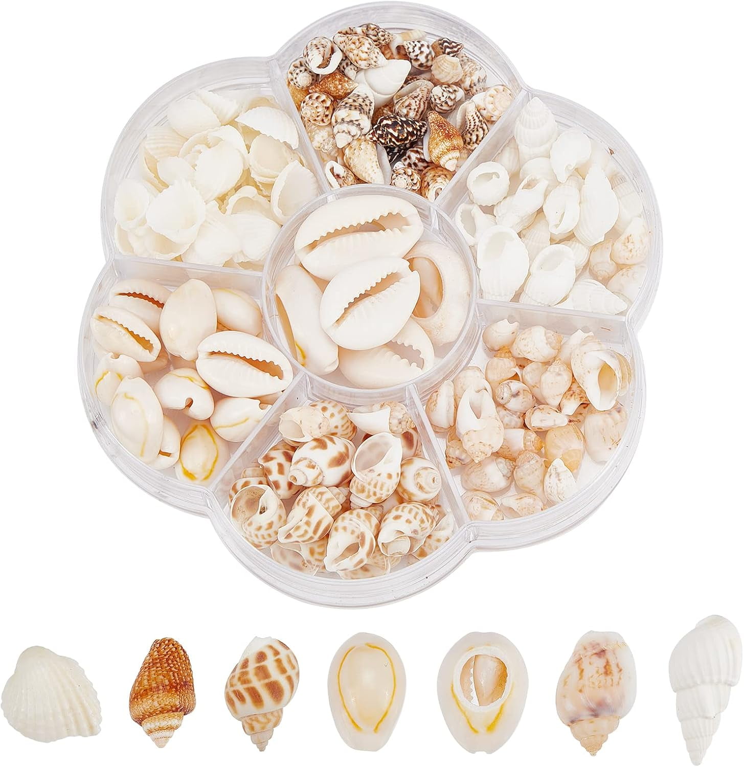 Natural Conch Shell Beads White Cowrie Shell Beads Mixed Shape Ocean ...