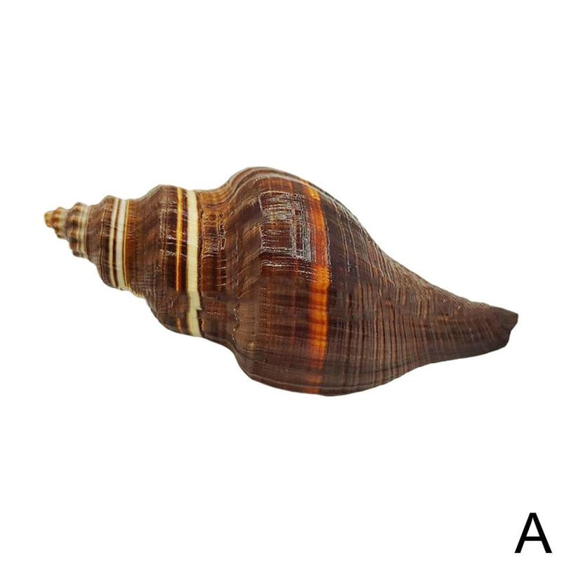 Natural Conch Shells Coral Snail Fish Tank Decor Home Ornament T8K0 ...