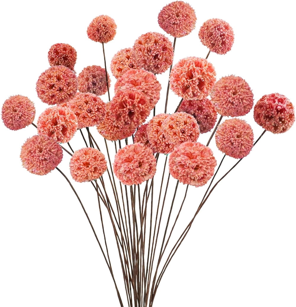 Natural Craspedia Billy Balls Flowers,Dried Flowers Bouquet,Pink ...