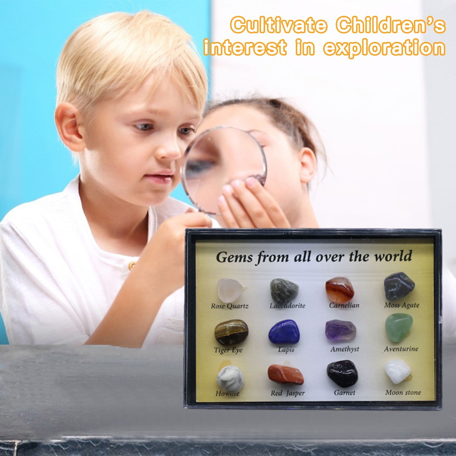 Natural Crystal Specimens,Educational Gift Box,12 Variety Set,Child ...
