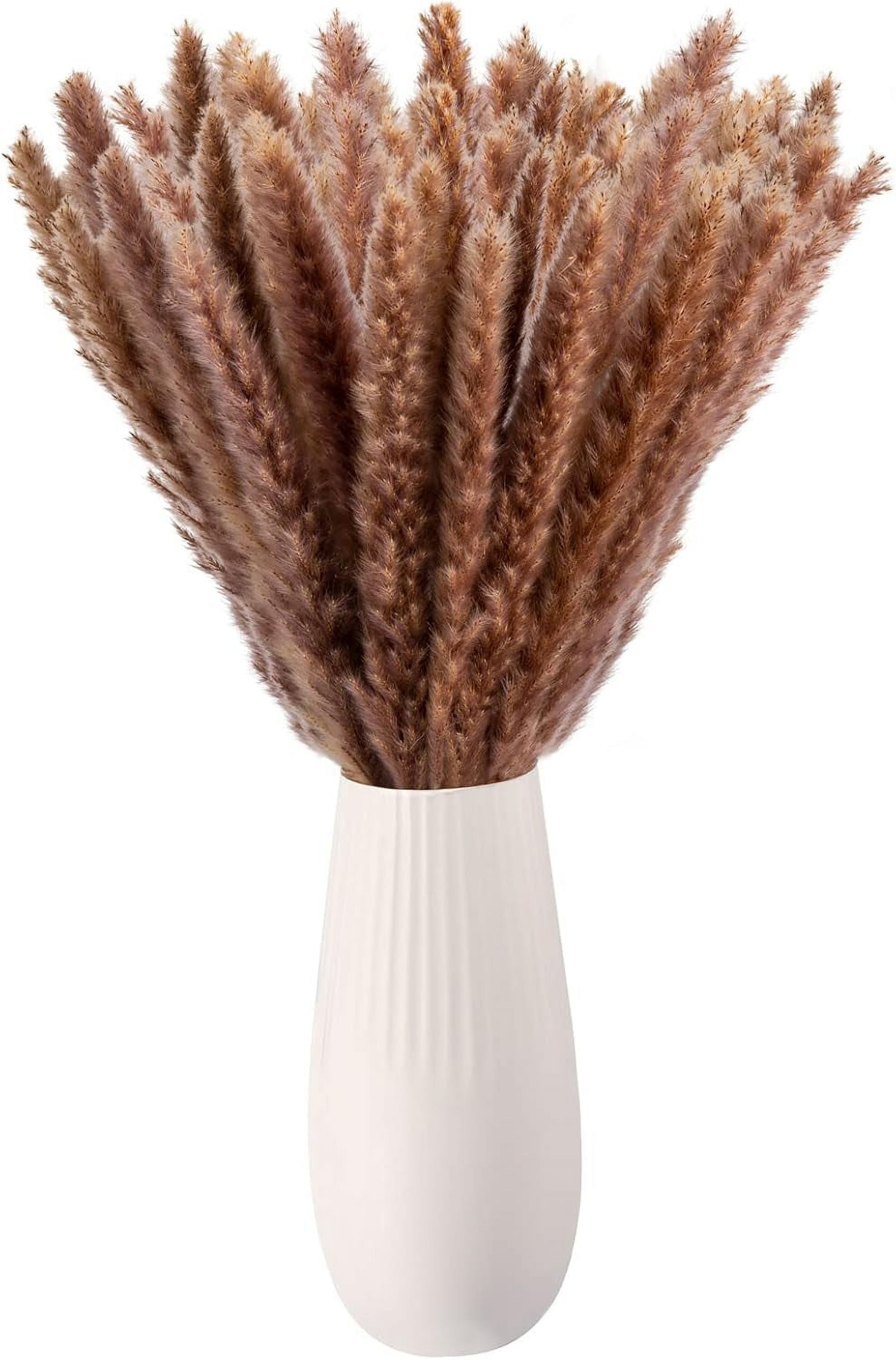 Natural Dried Pampas Grass, Soft and Fluffy, No Stench 18" Pampas Grass ...