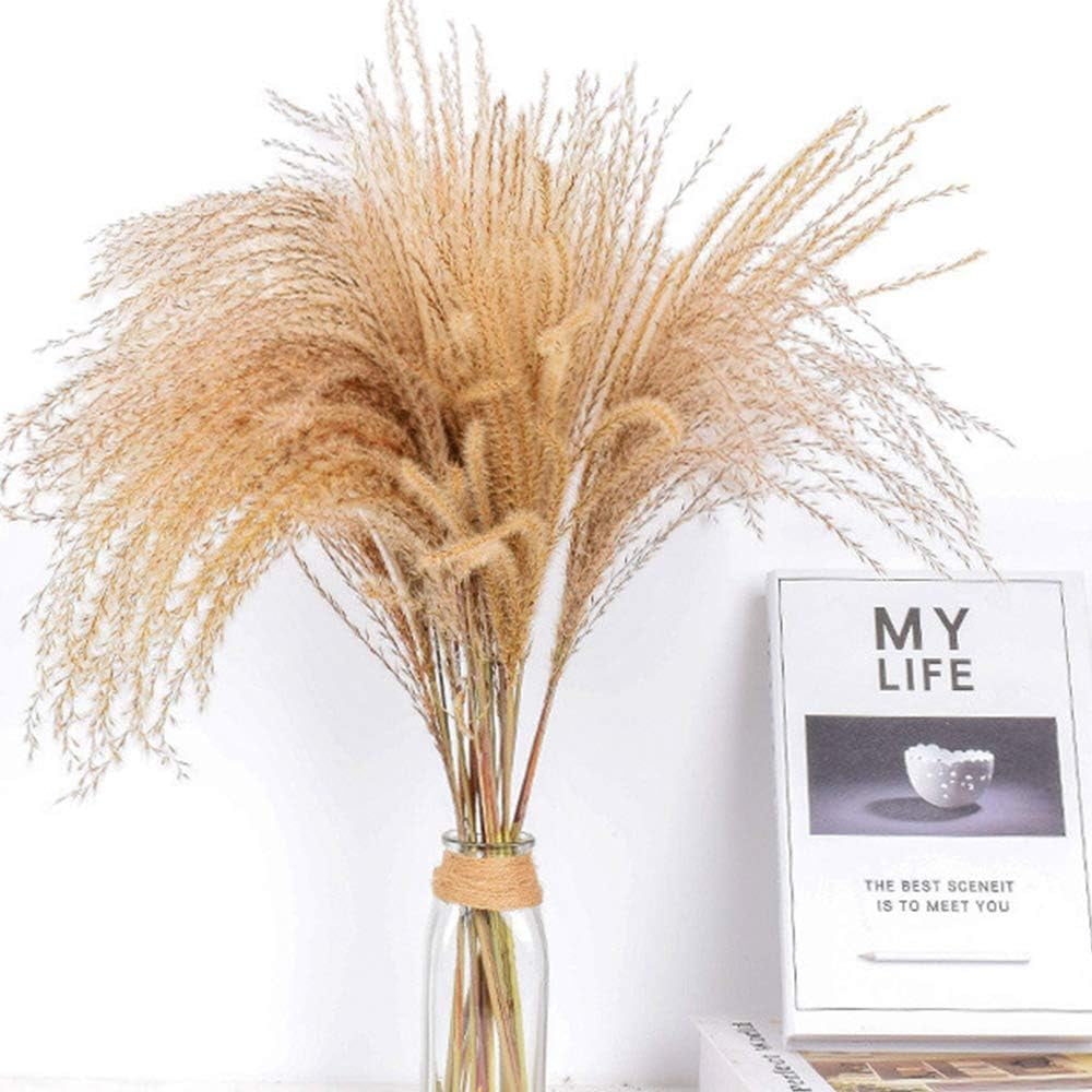 Natural Dried Pampas Grass for Wedding Floral Arrangements, Minimal ...
