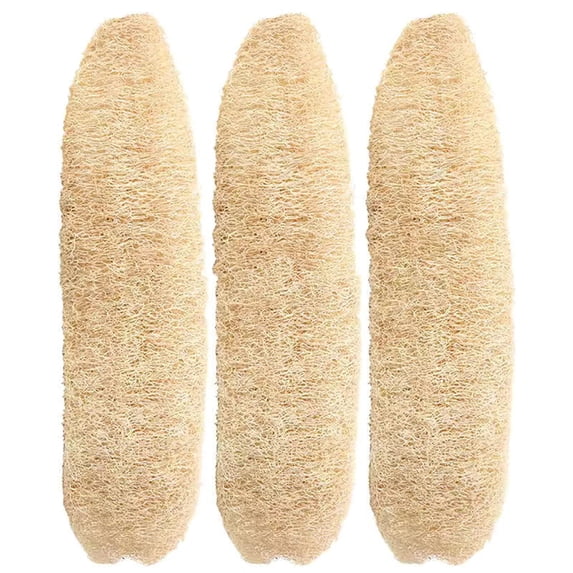 Natural Exfoliating Loofah Sponge - Organic Egyptian Body Back Scrubber ...