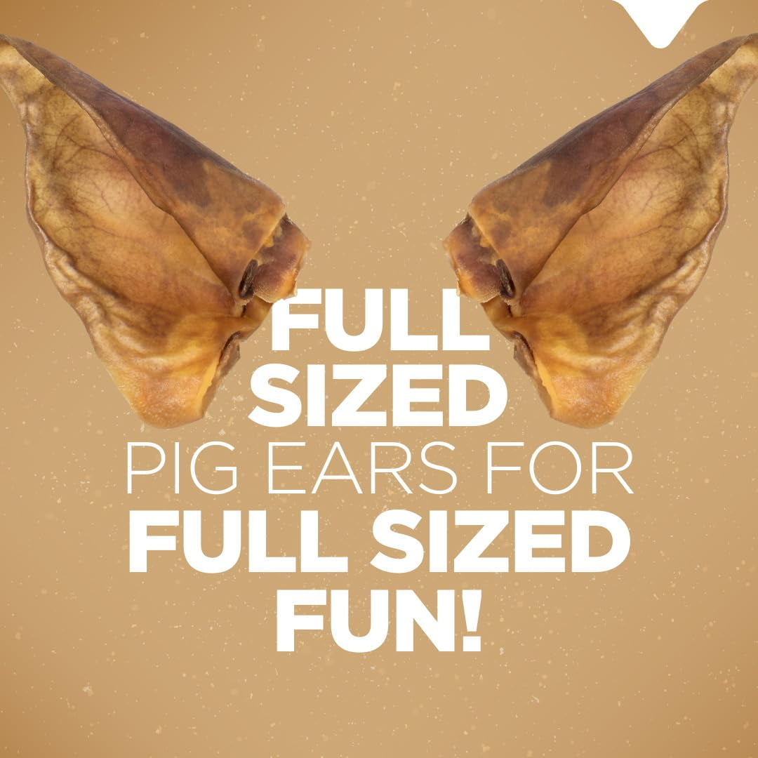 Natural Farm Pig Ears for Dogs (25 H2FSDPack), Whole Dog Treats Thick Pigs Ears, Single ...