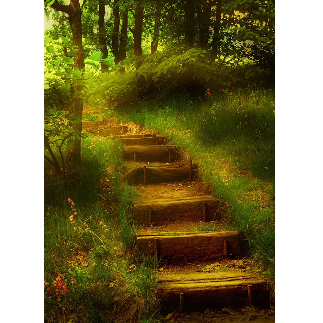Natural Forest Path Photography Backgrounds Green Leaves Scenic Field ...