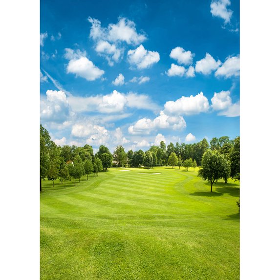 Natural Forest Path Photography Backgrounds Green Leaves Scenic Field ...