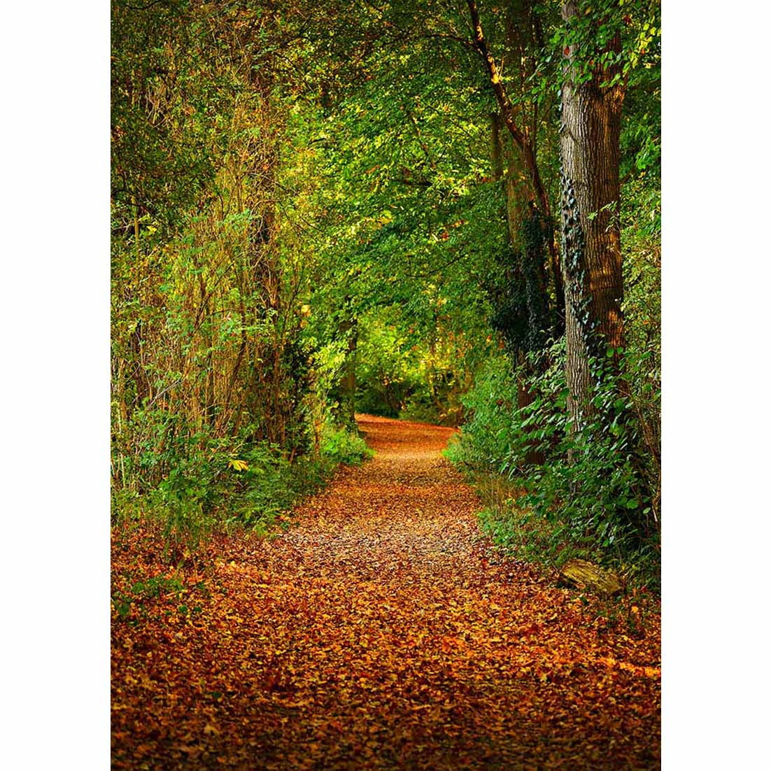 Natural Forest Path Photography Backgrounds Green Leaves Scenic Field ...