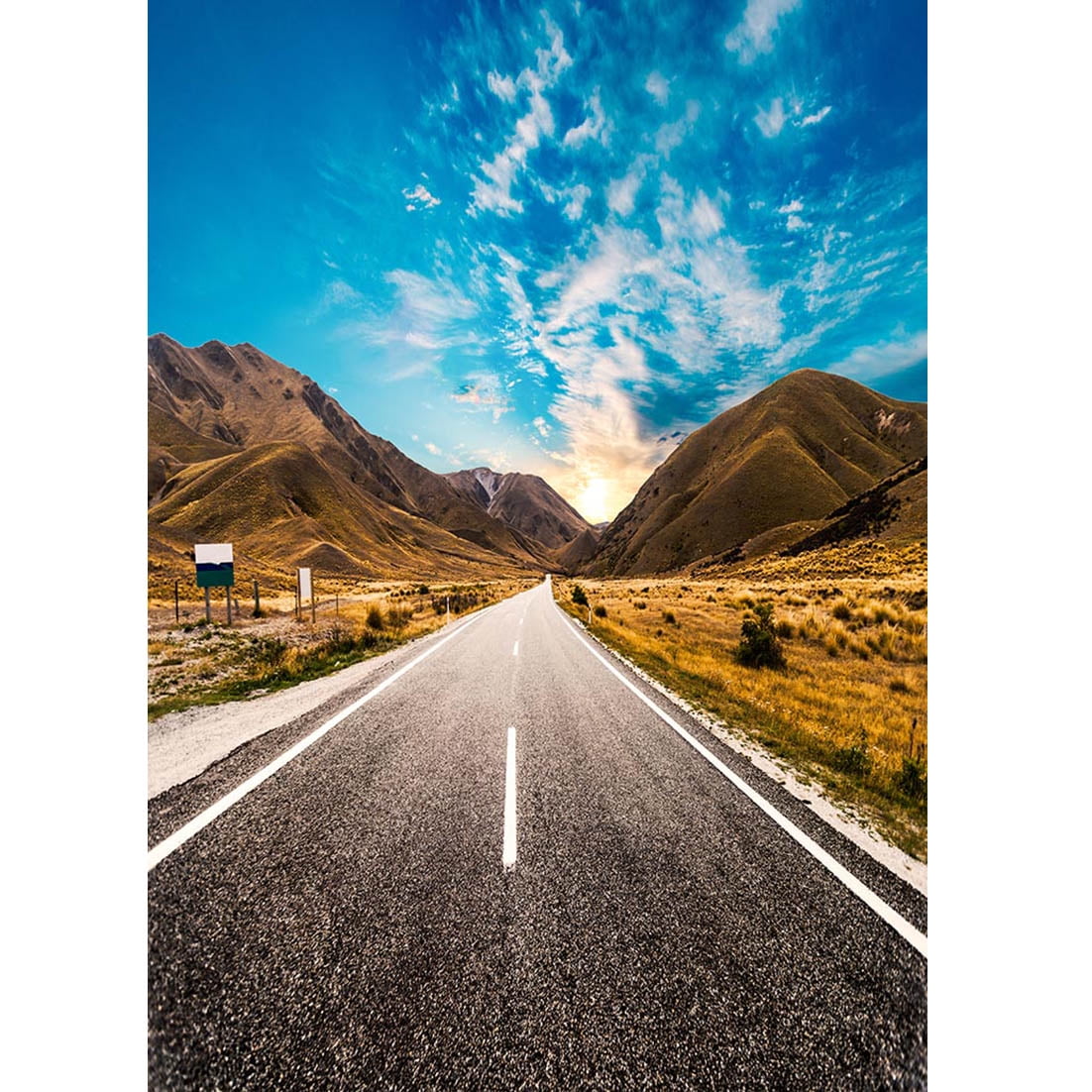 Natural Forest Path Photography Backgrounds Green Leaves Scenic Field ...