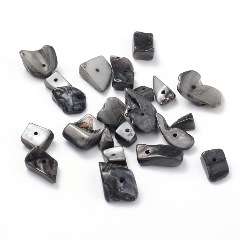 Natural Freshwater Shell Chips Beads Shell Shards Dyed Dark Gray 8~17x5 ...