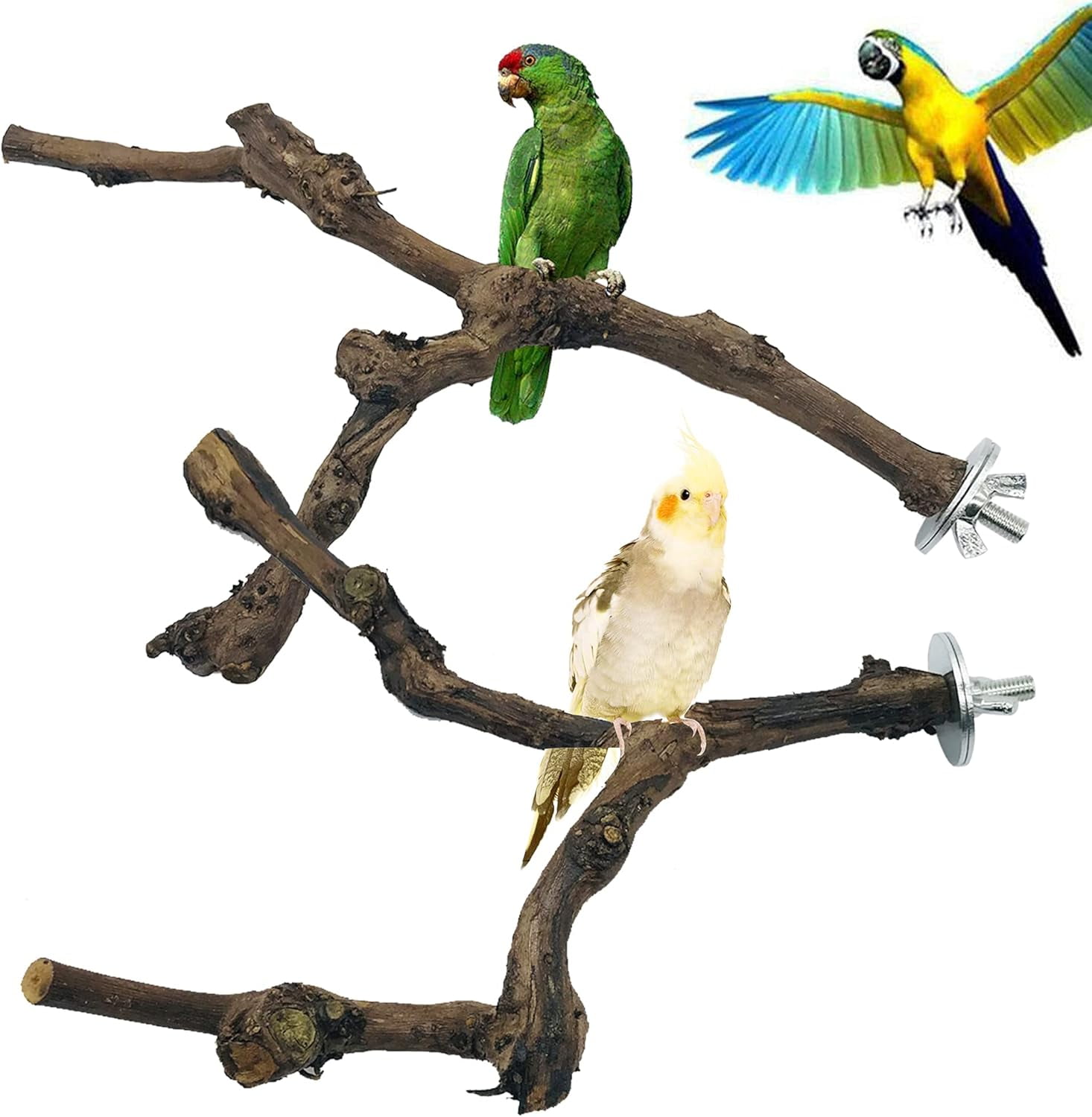 Natural Grapevine Bird Perch Set | 4 PCS for Parrots, Cockatiels ...