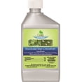 Natural Guard Insecticidal Soap, Concentrate 16 Ounces - Walmart ...