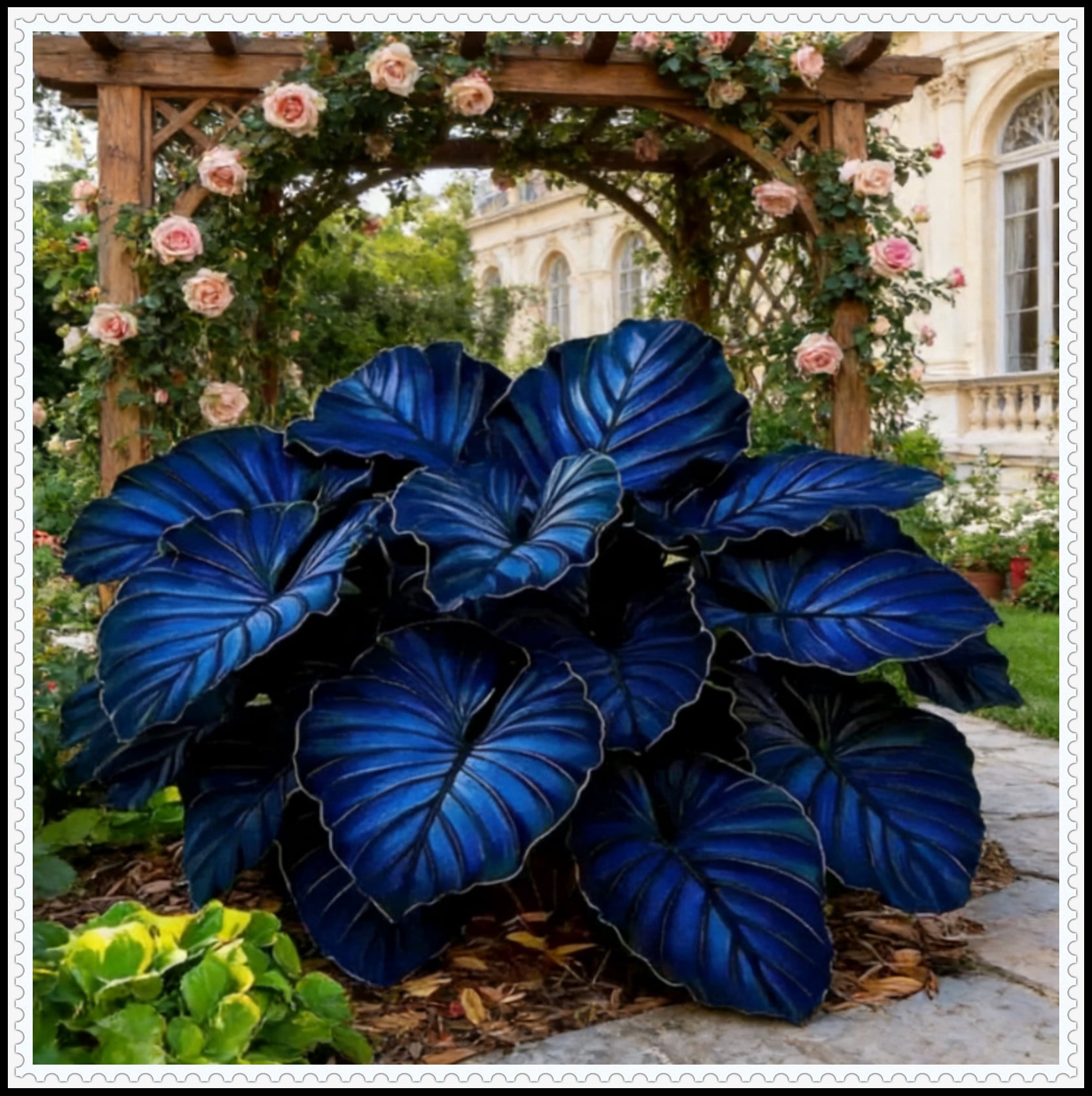 Natural Hostas — Easy to cultivate —-10 color options-- Non-GMO— For ...