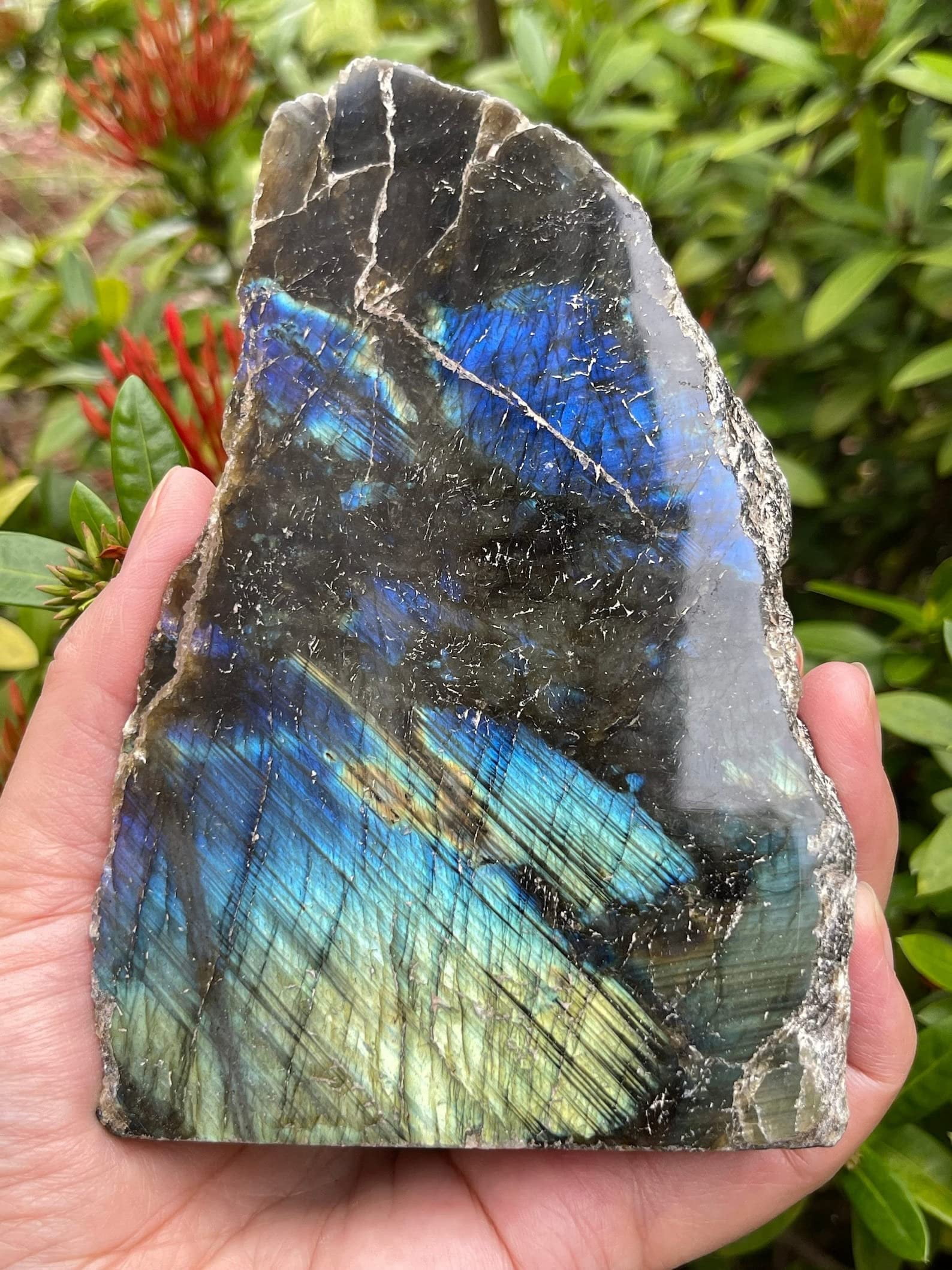 Natural Labradorite Slab, High Flash Free Standing Display Specimens ...