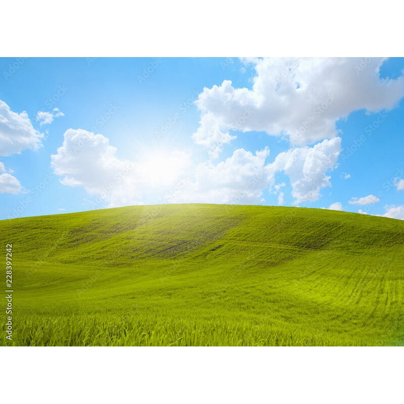 Natural Landscape Photography Props Green Grass Blue Sky With White ...