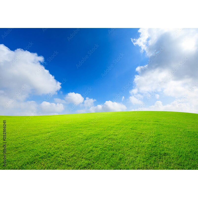 Natural Landscape Photography Props Green Grass Blue Sky With White ...