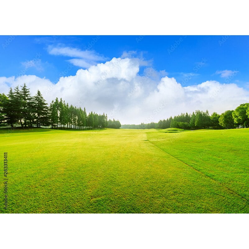 Natural Landscape Photography Props Green Grass Blue Sky With White ...