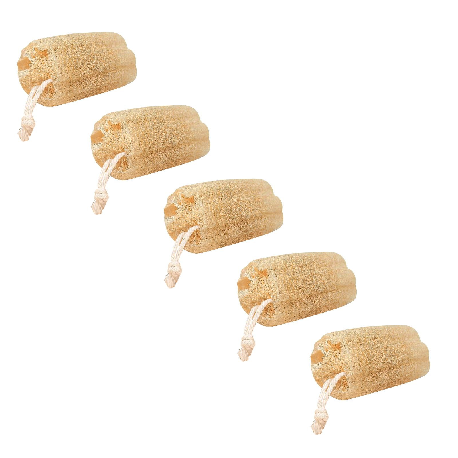 Natural Loofah Body Scrubber Sponge, 4 inch Organic Luffa for ...
