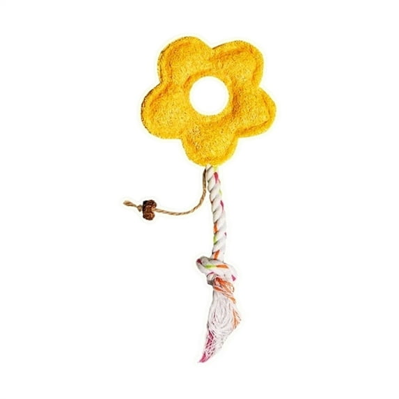 Natural Loofah Cat Chew Toys, Interactive Kitten Loofa Dental Teething ...