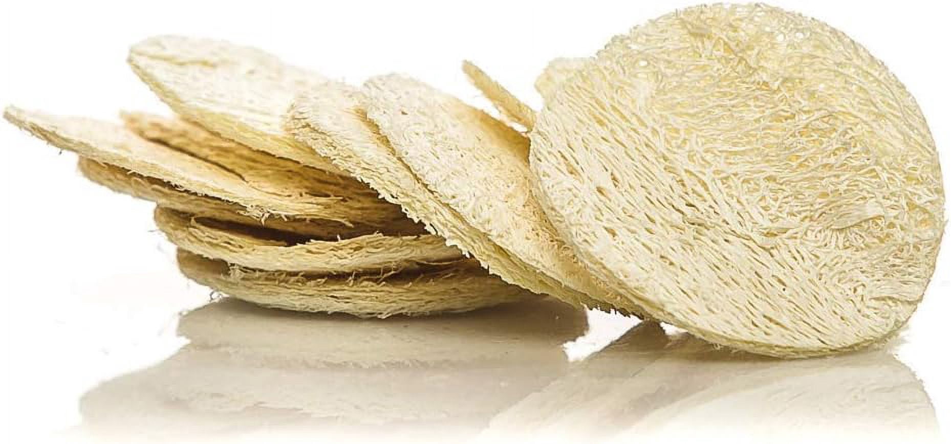 Natural Loofah Discs (Pack of 5 discs) - Walmart.com
