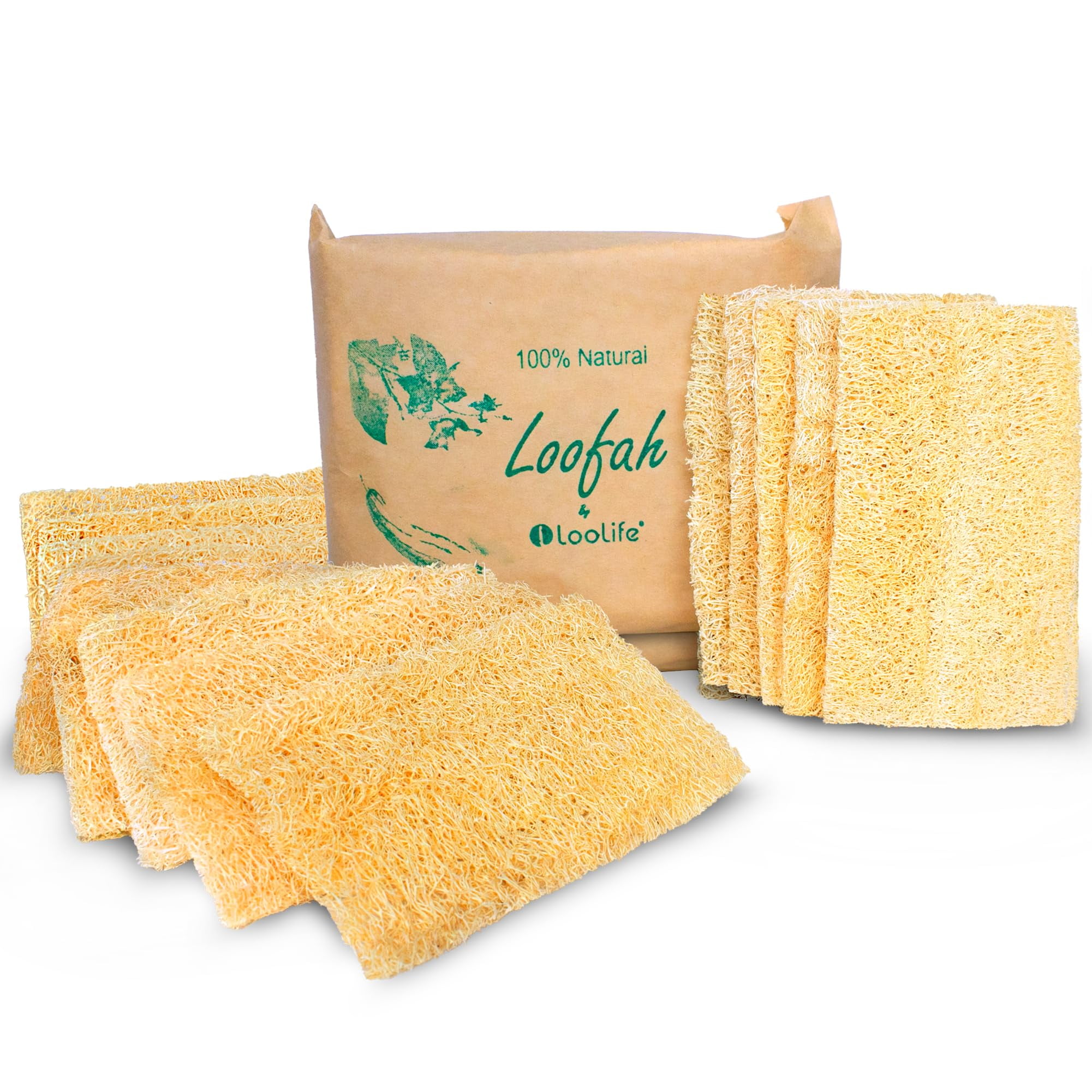 Natural Loofah Kitchen Sponge (XL - 10 Pack) - Natural Sponges for ...