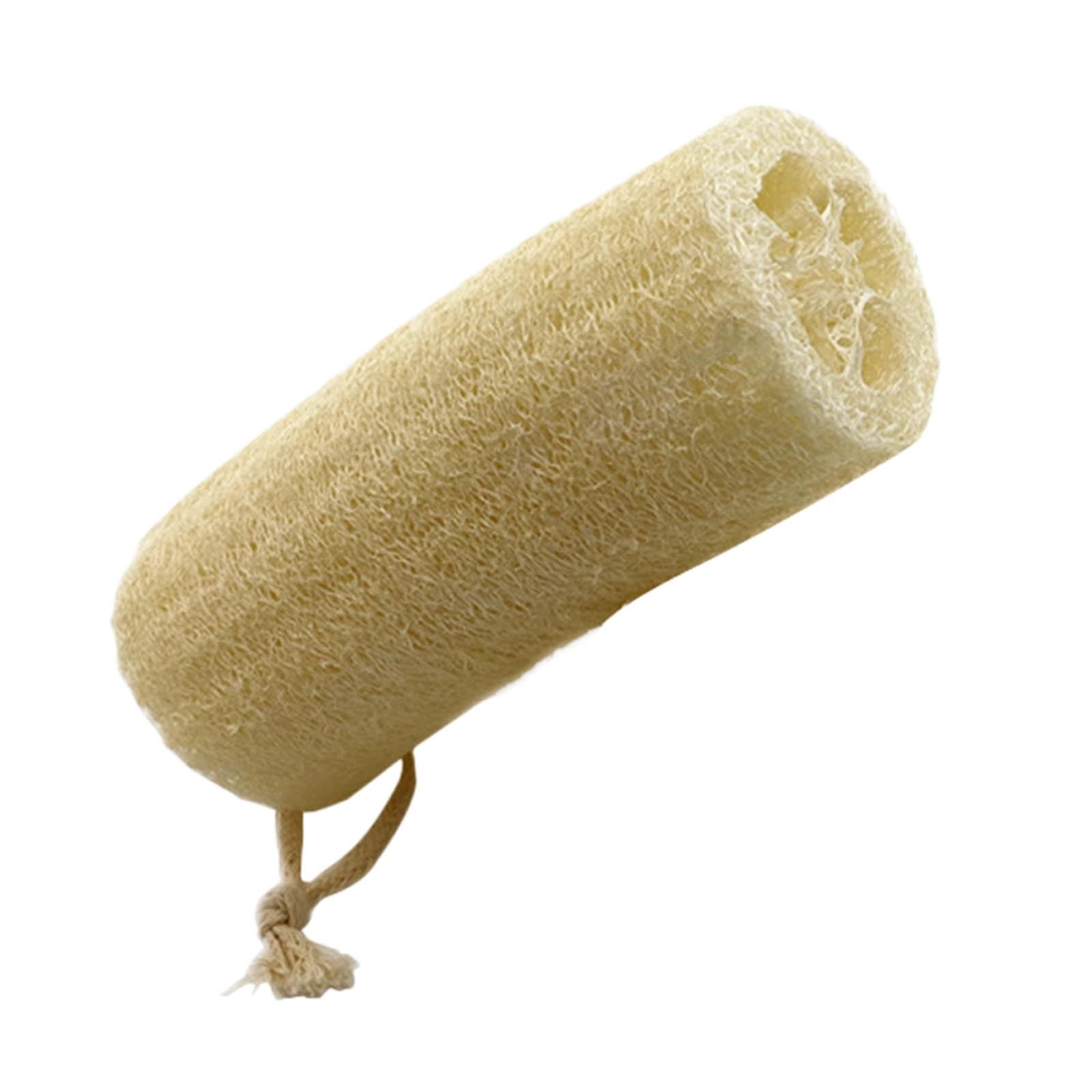 Natural Loofah Pot Brush Farmer Loofah Dish Washing Tool Kitchen Non ...