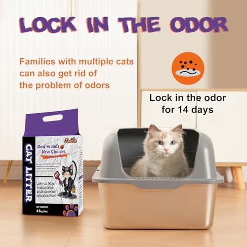 Natural Mineral Cat Litter - Low Dust, Instant Clumping, Long-Lasting ...