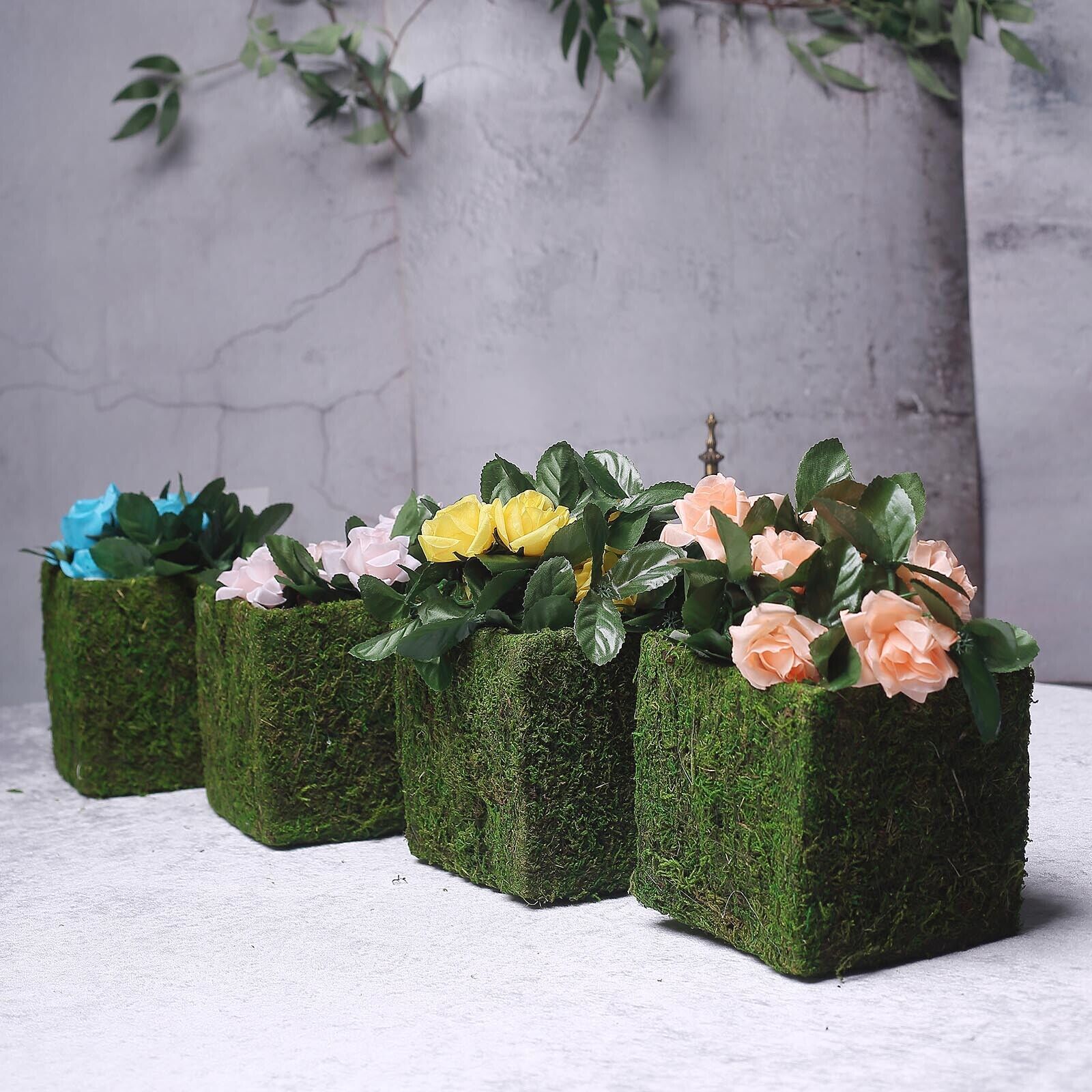 Natural Moss Rustic Square Planter Boxes Party Centerpieces 4 Green 6x6 ...
